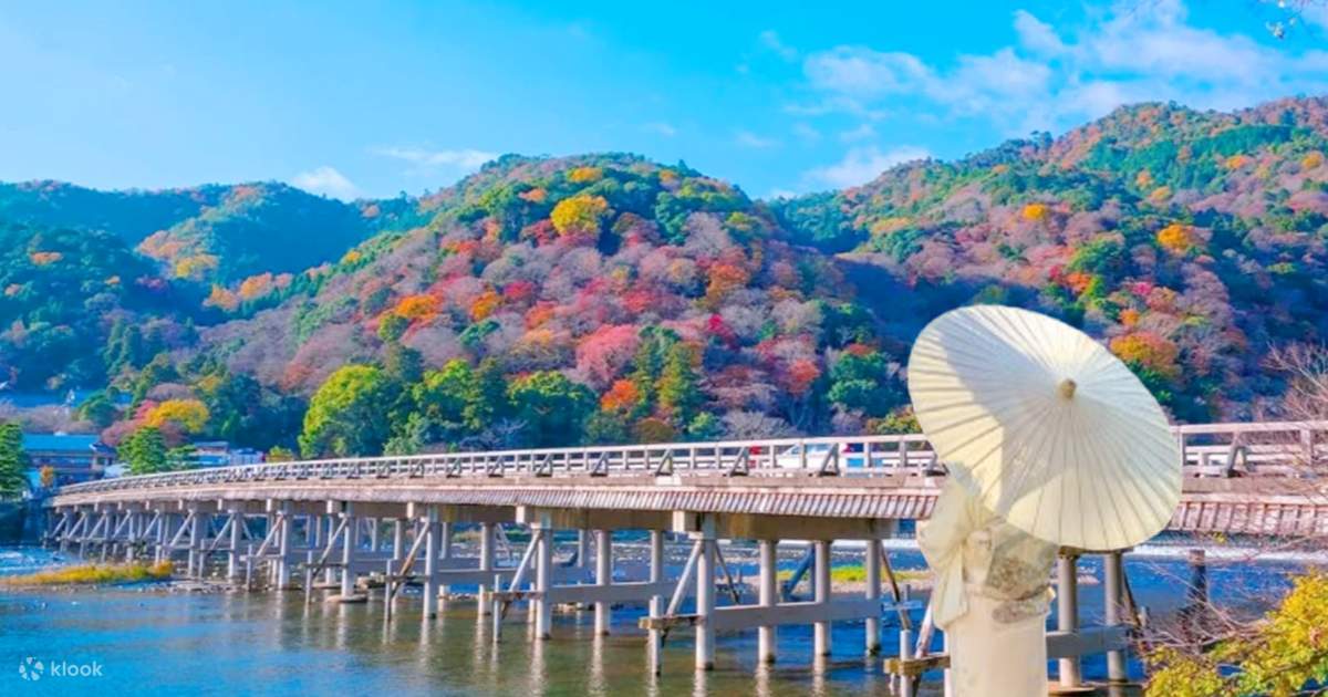 [Kyoto & Arashiyama & Nara] Nara Park & Fushimi Inari Shrine & Fushimi Chiikawa Honpo ...